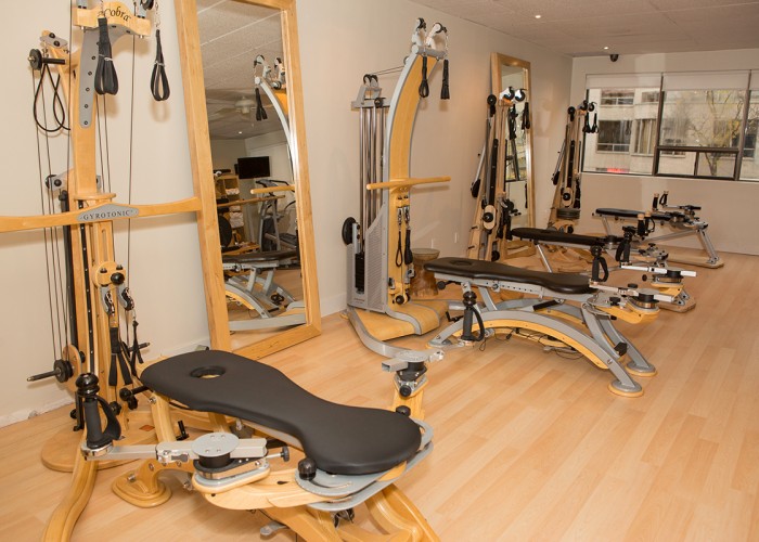 Gyrotonic Workout Machine | EOUA Blog