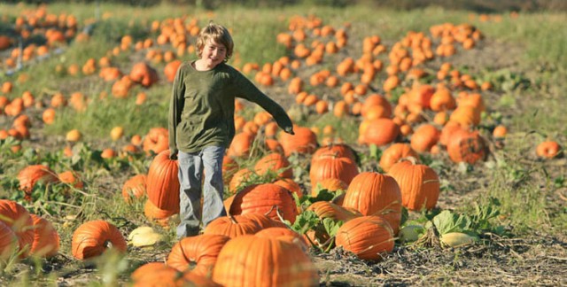 Where to see the best fall foliage in Canada | Smart Tips